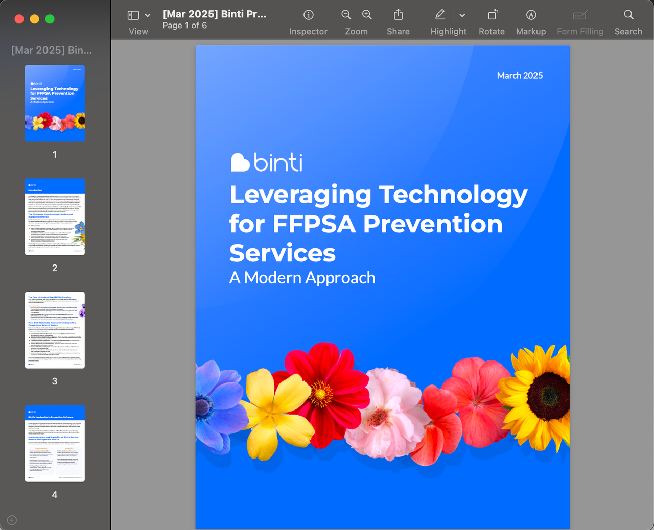 FFPSA Prevention Whitepaper | Binti